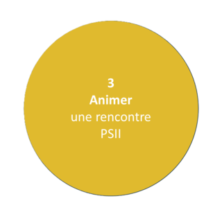 PSII: CISSS des Laurentides