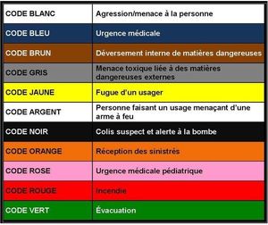 Me familiariser avec mon organisation: CISSS des Laurentides